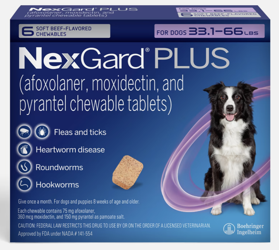 NexGard® PLUS 12 PACK – Middletown Veterinary Hospital
