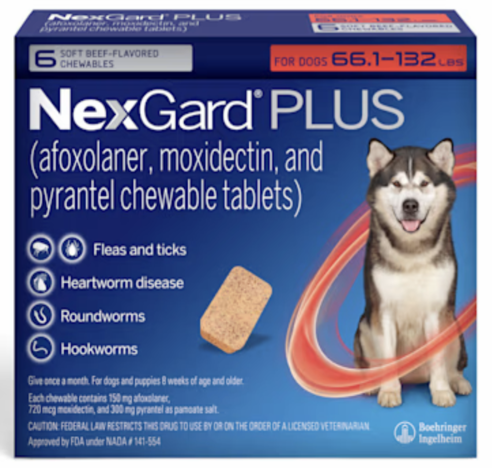 NexGard® PLUS 12 PACK – Middletown Veterinary Hospital